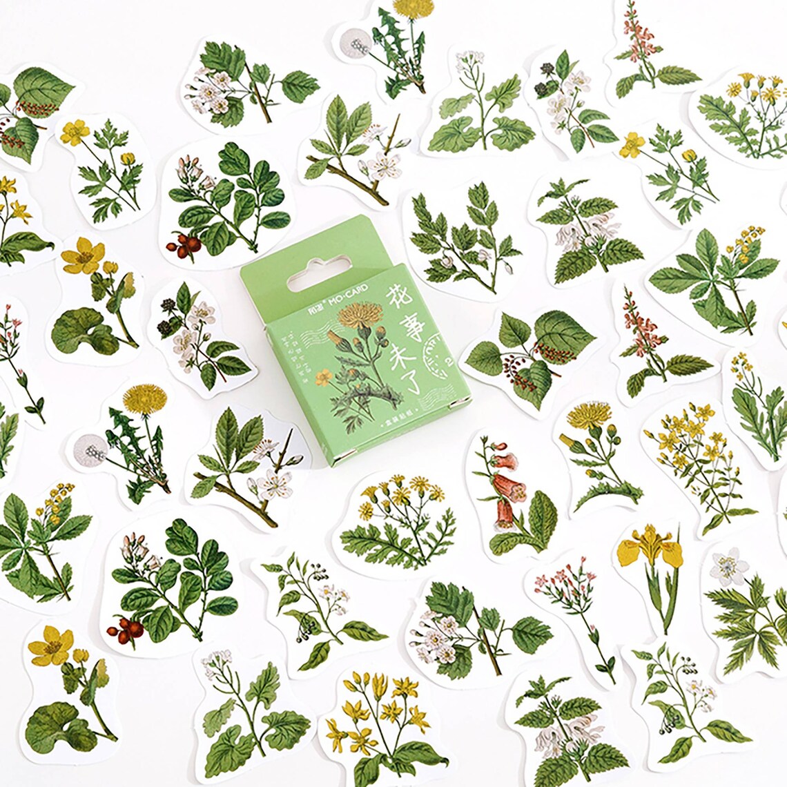 Meadow Flower Stickers Wildflower Stickers Botanical Study | Etsy
