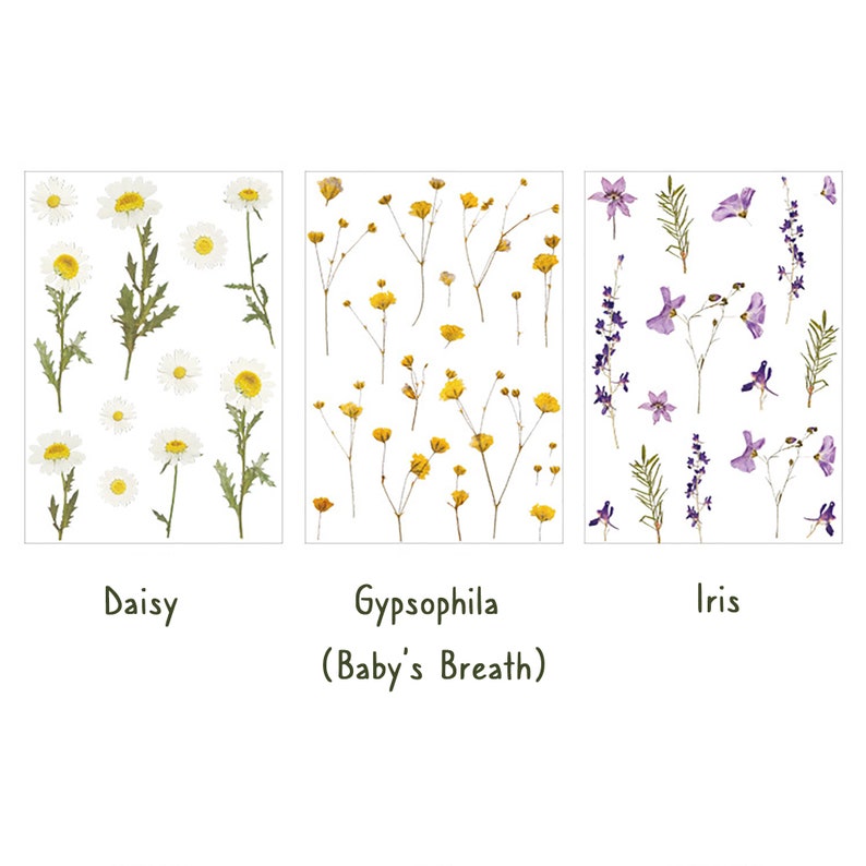 Wildflower Stickers Botanical Sticker Pack Foliage Stickers - Etsy