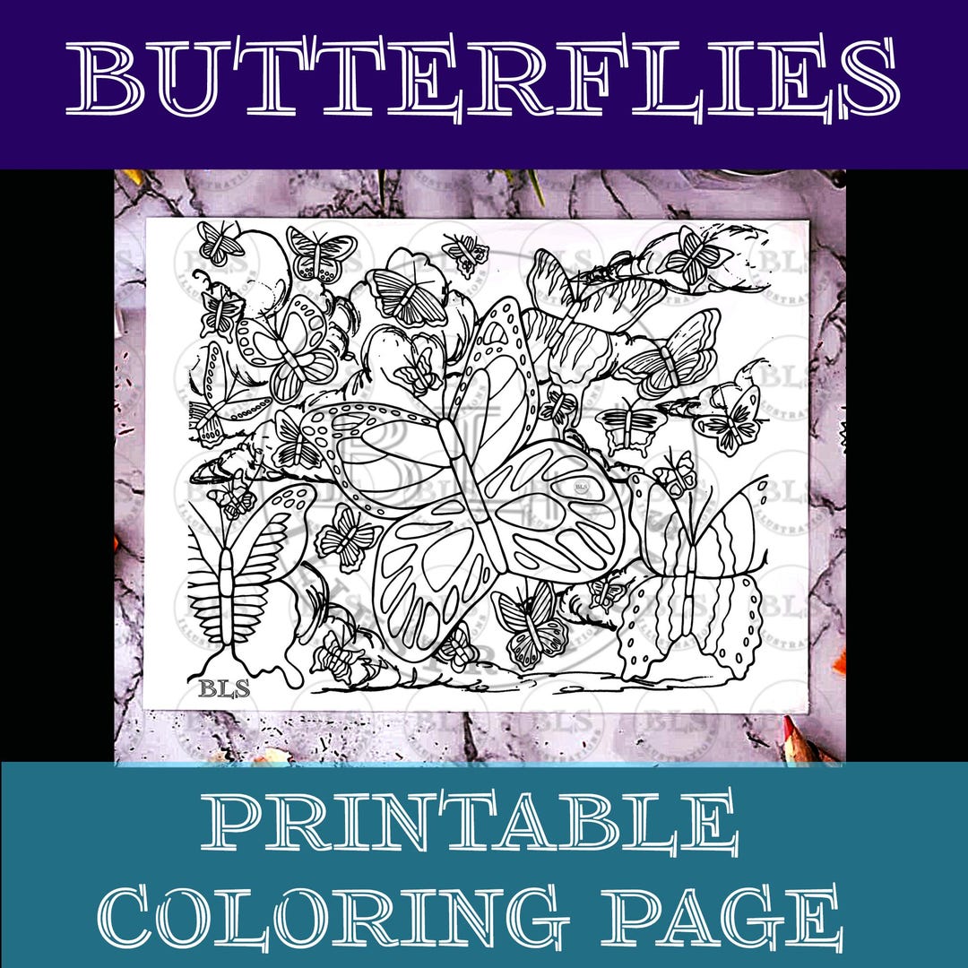 Coloring Page-butterflies Printable Coloring-bug Coloring Sheet-line ...
