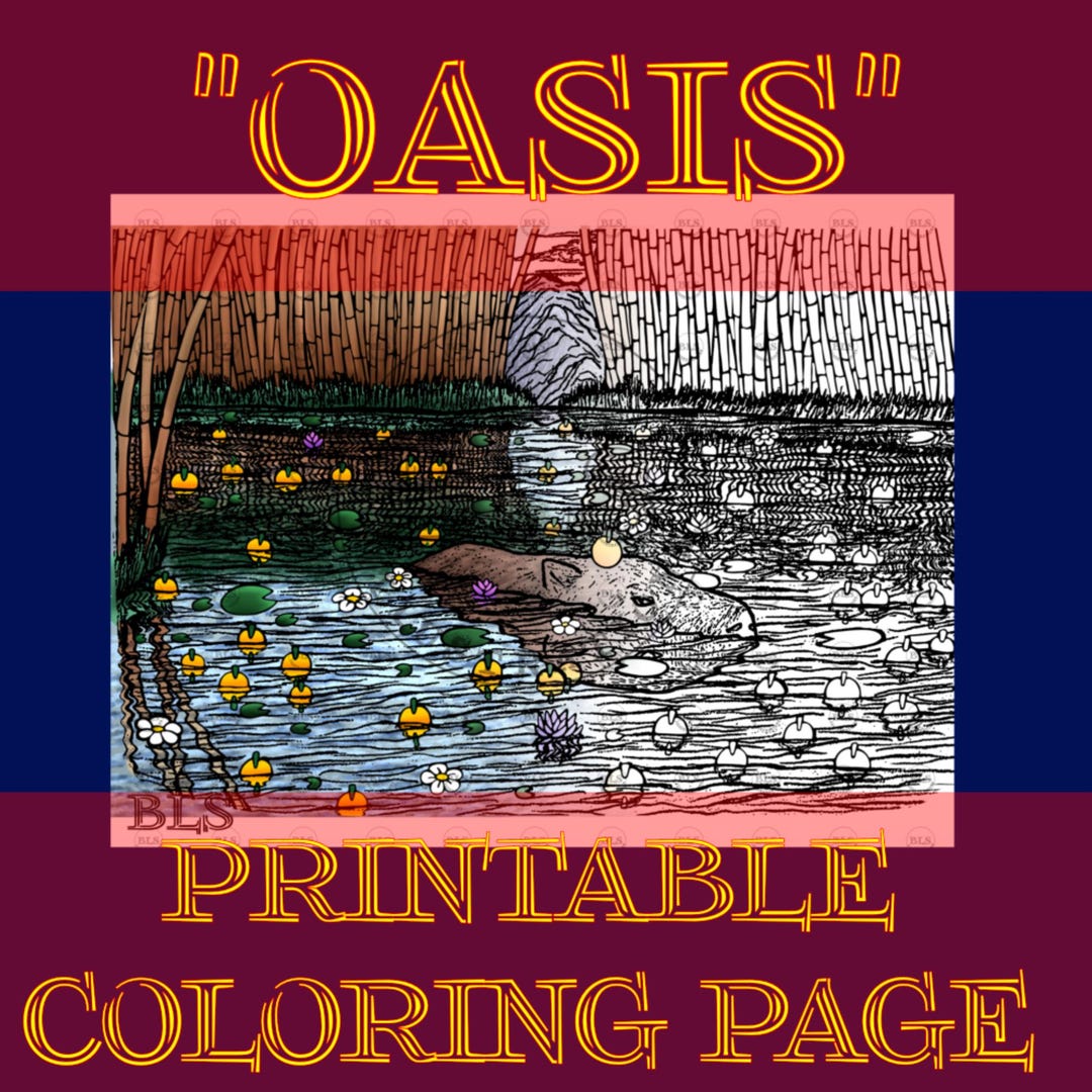 Digital Coloring Sheet-printable Coloring-oasis Coloring Page-line Art ...