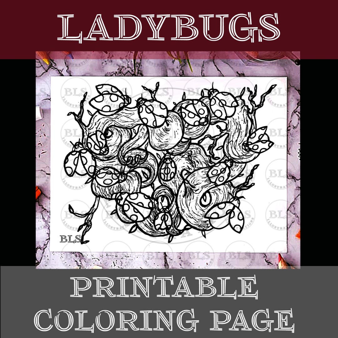 Coloring Page-ladybugs Printable Coloring-coloring Sheet-png-line Art ...