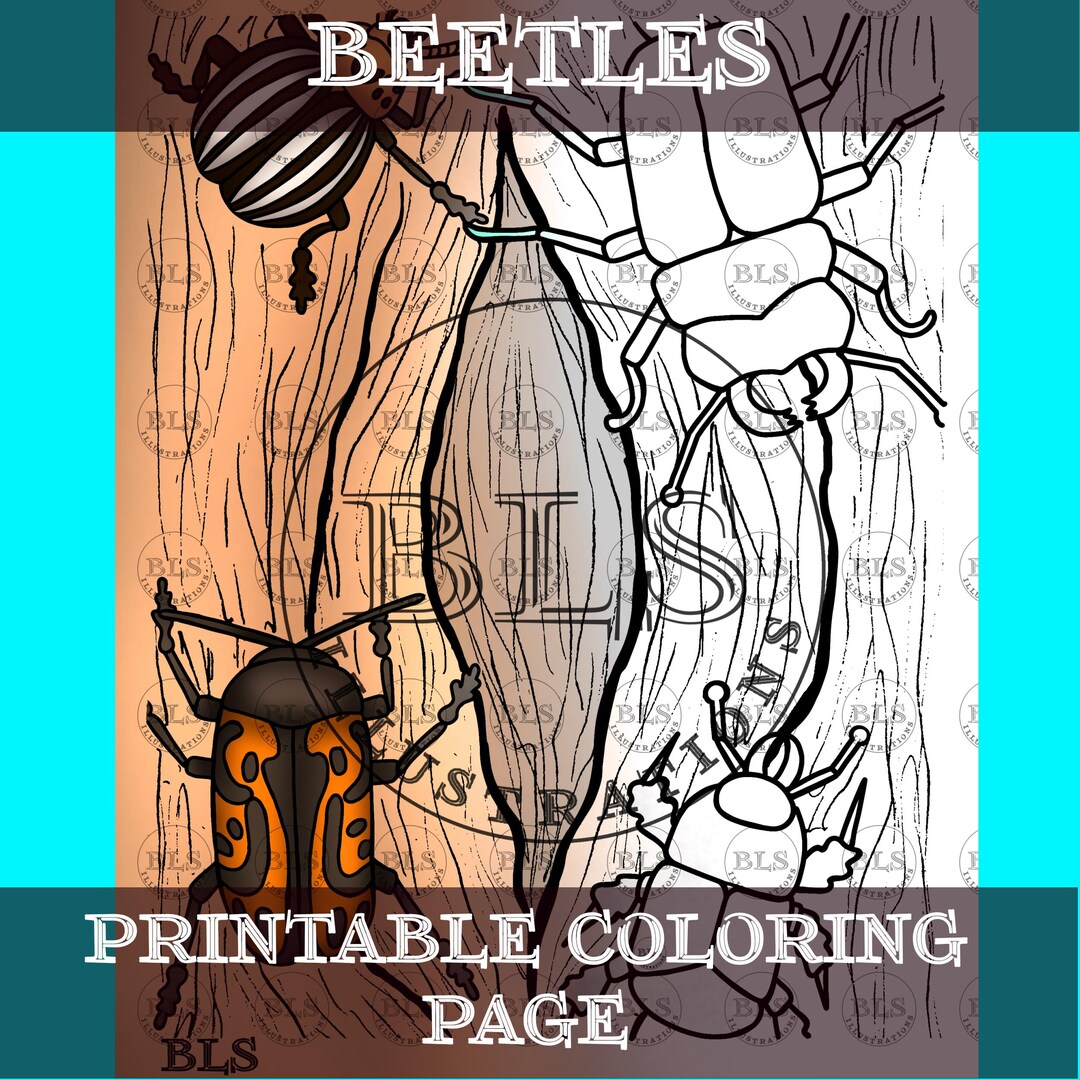 Digital Coloring Sheet-printable Coloring for Kids-beetles Coloring ...