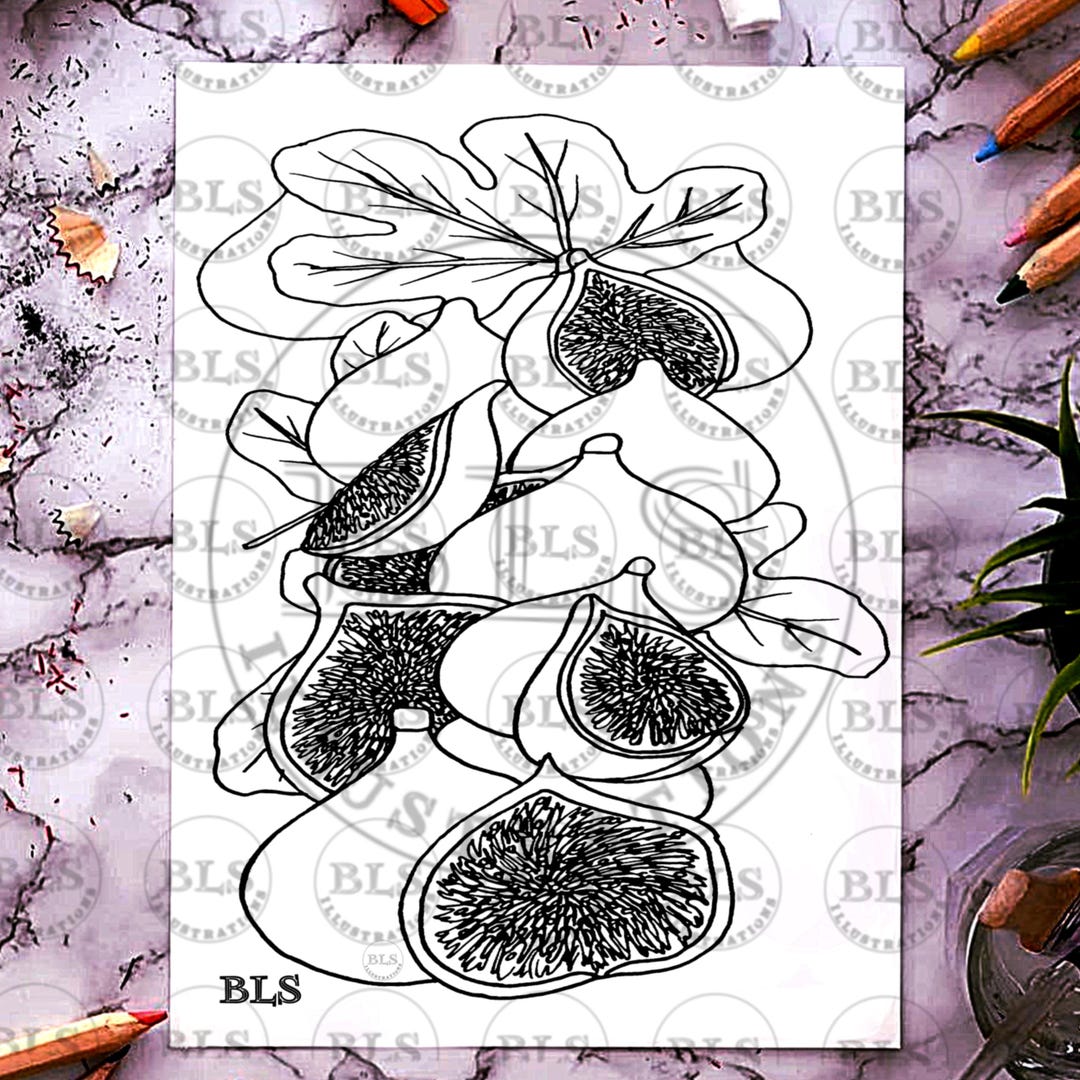 Digital Download-figs Printable Coloring Page - Etsy UK