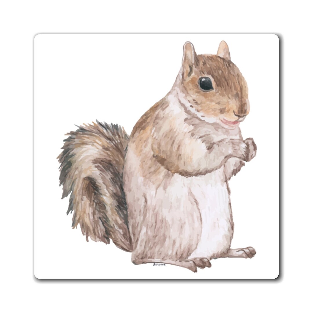 Squirrel Magnets, Animal Watercolor Square Fridge Refrigerator Car ...