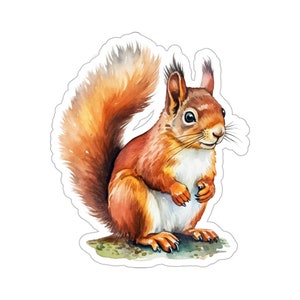 Squirrel Sticker, Animal Art Laptop Decal Vinyl Cute Waterbottle ...