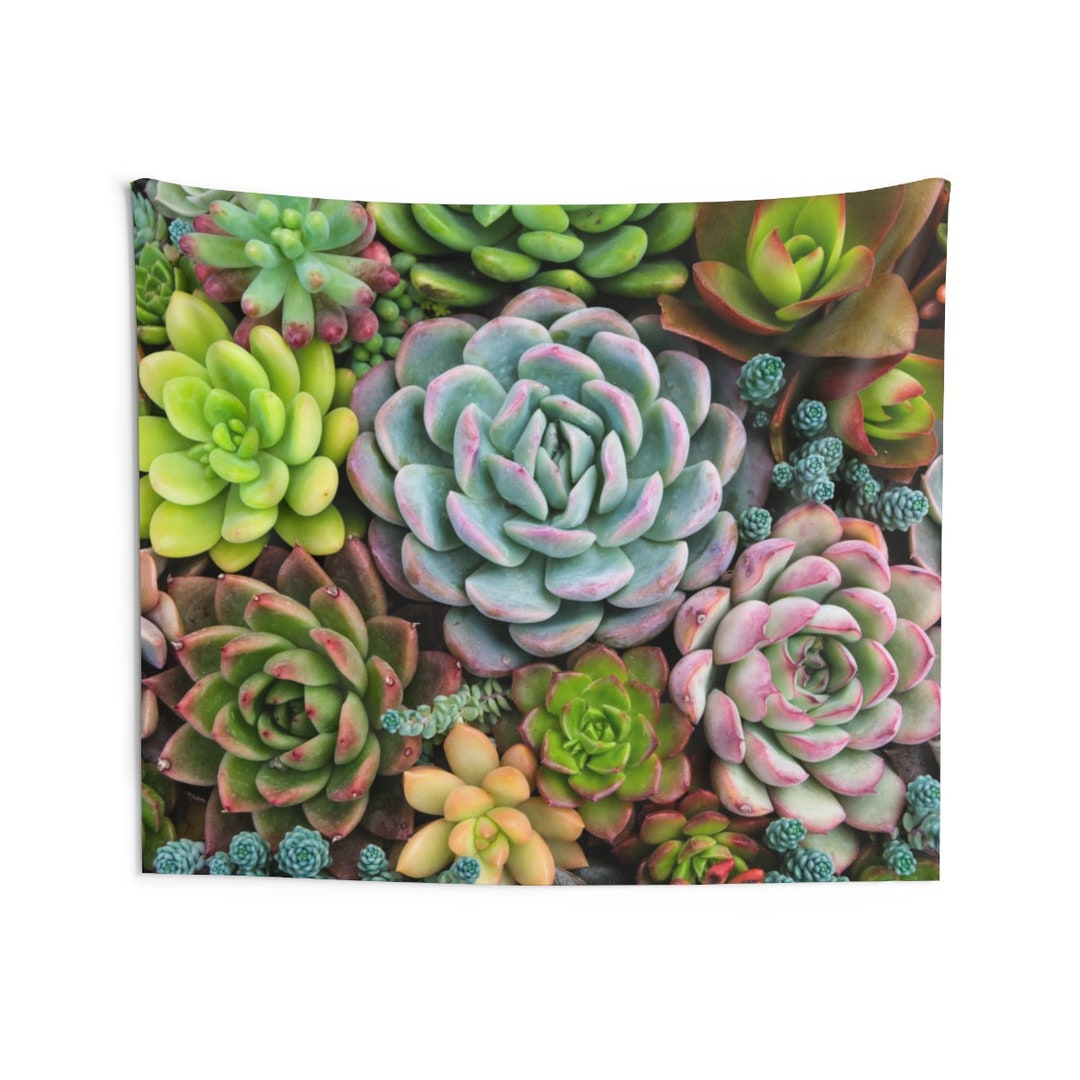 Cactus Tapestry, Succulent Botanic Plants, Nature Landscape Indoor Wall ...