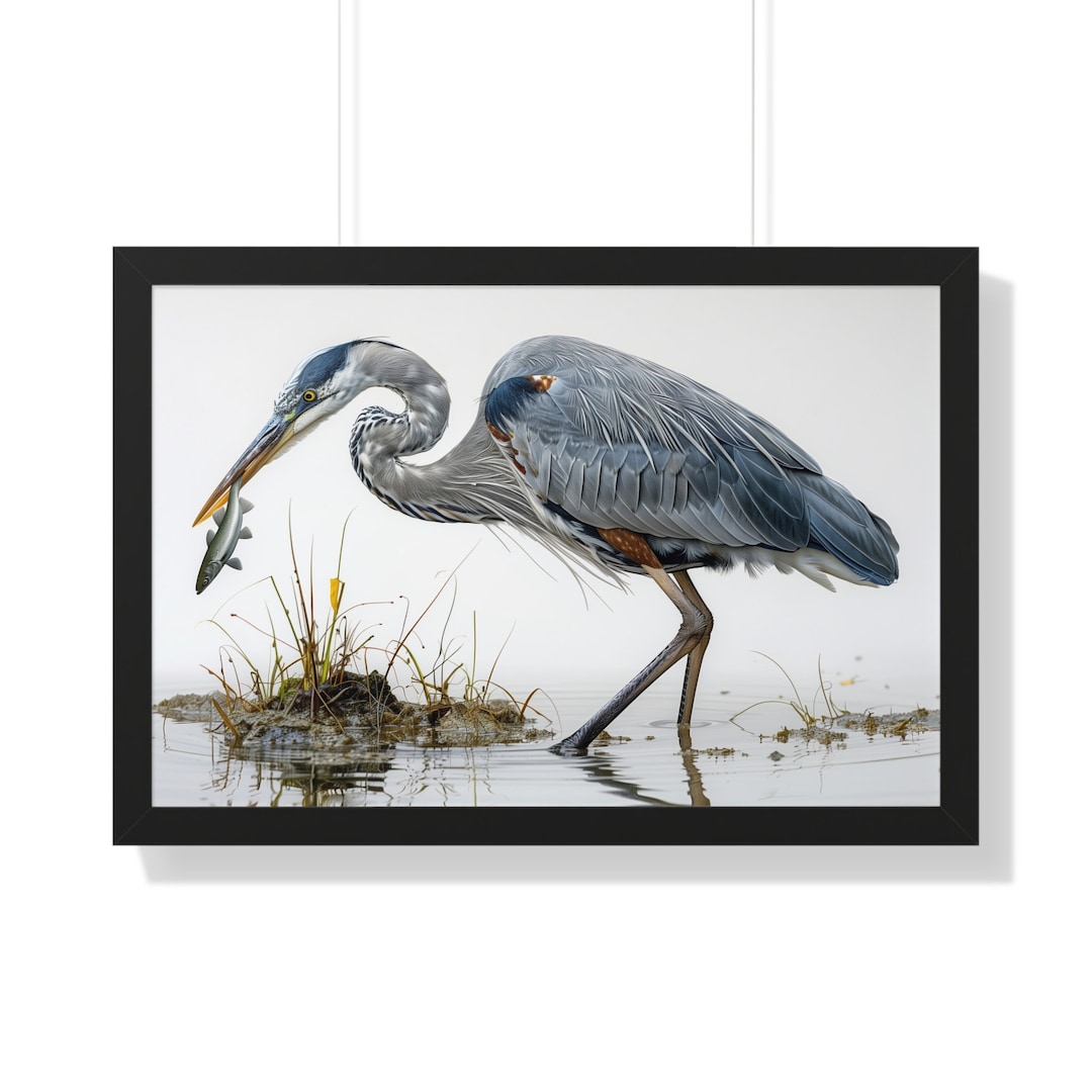 Blue Heron Poster and Frame, Bird Fish Wetlands Nature Retro Print Wall ...