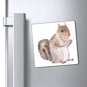 Squirrel Magnets, Animal Watercolor Square Fridge Refrigerator Car ...