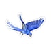 Hyacinth Macaw Parrot Sticker Blue Tropical Bird Watercolor - Etsy