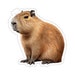 Capybara Sticker Decal, Animal Art Vinyl Laptop Cute Waterbottle ...