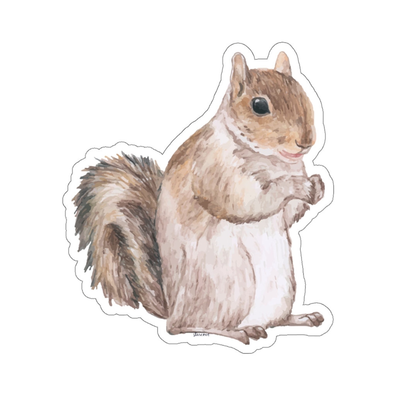 Squirrel Sticker Animal Watercolor Laptop Decal Vinyl Cute - Etsy