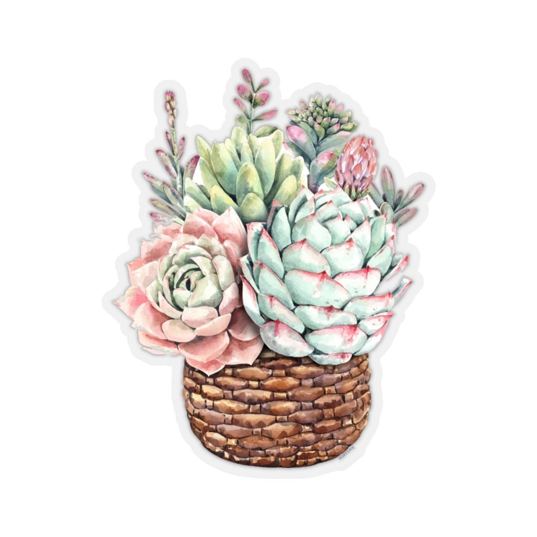 Watercolor Succulent Sticker, Planter Basket Plant Cactus Laptop Decal ...