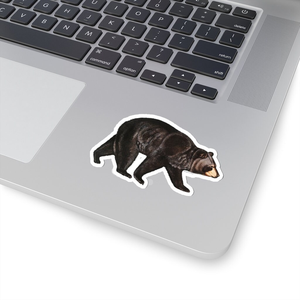 Black Bear Sticker Animal Laptop Decal Vinyl Cute Waterbottle - Etsy UK