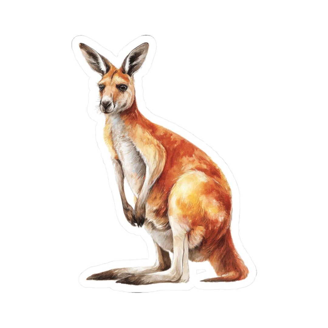 Kangaroo Sticker Decal, Watercolor Animal Wildlife Cute Art Vinyl ...