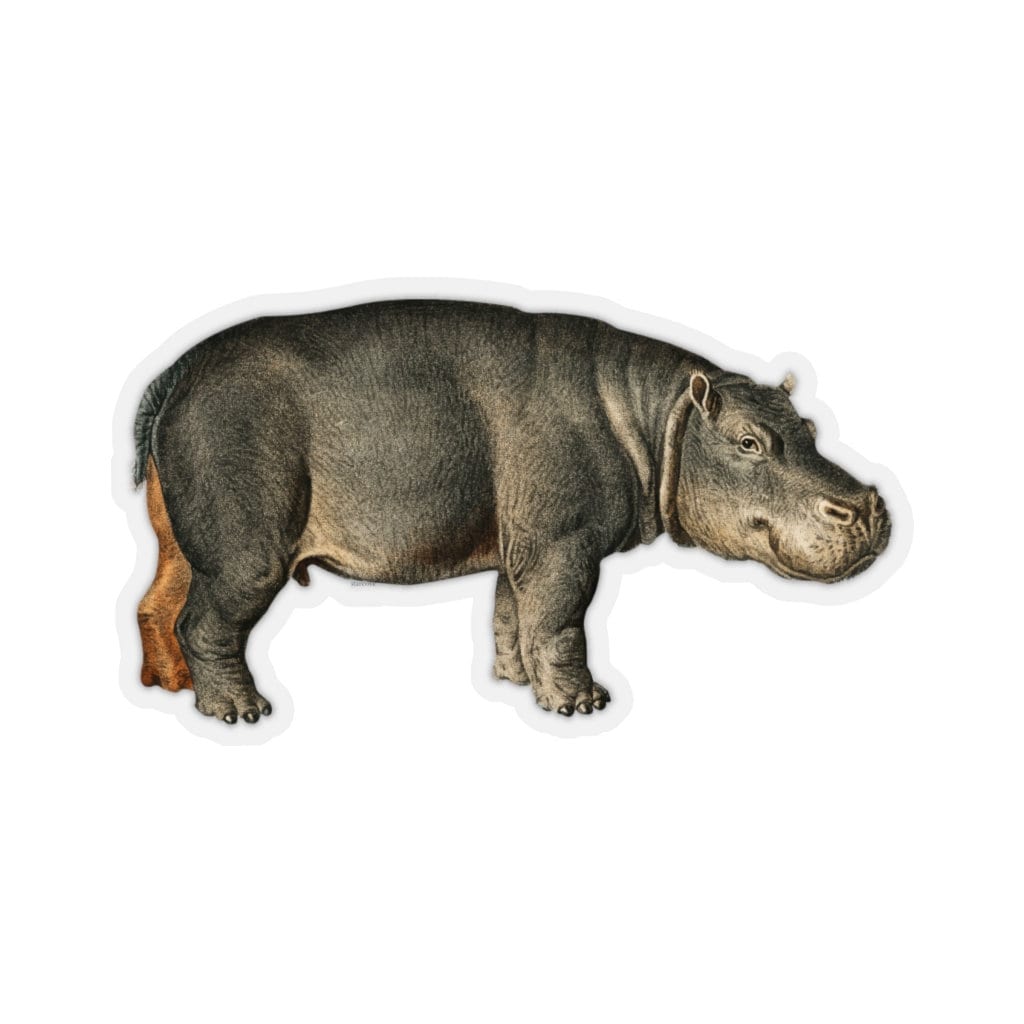 Hippo Sticker Hippopotamus Animal Cute Decal Label Phone | Etsy