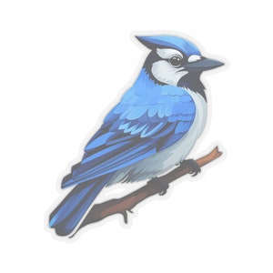 Blue Jay Sticker Decal, Bird Art Vinyl Laptop Cute Waterbottle Tumbler ...