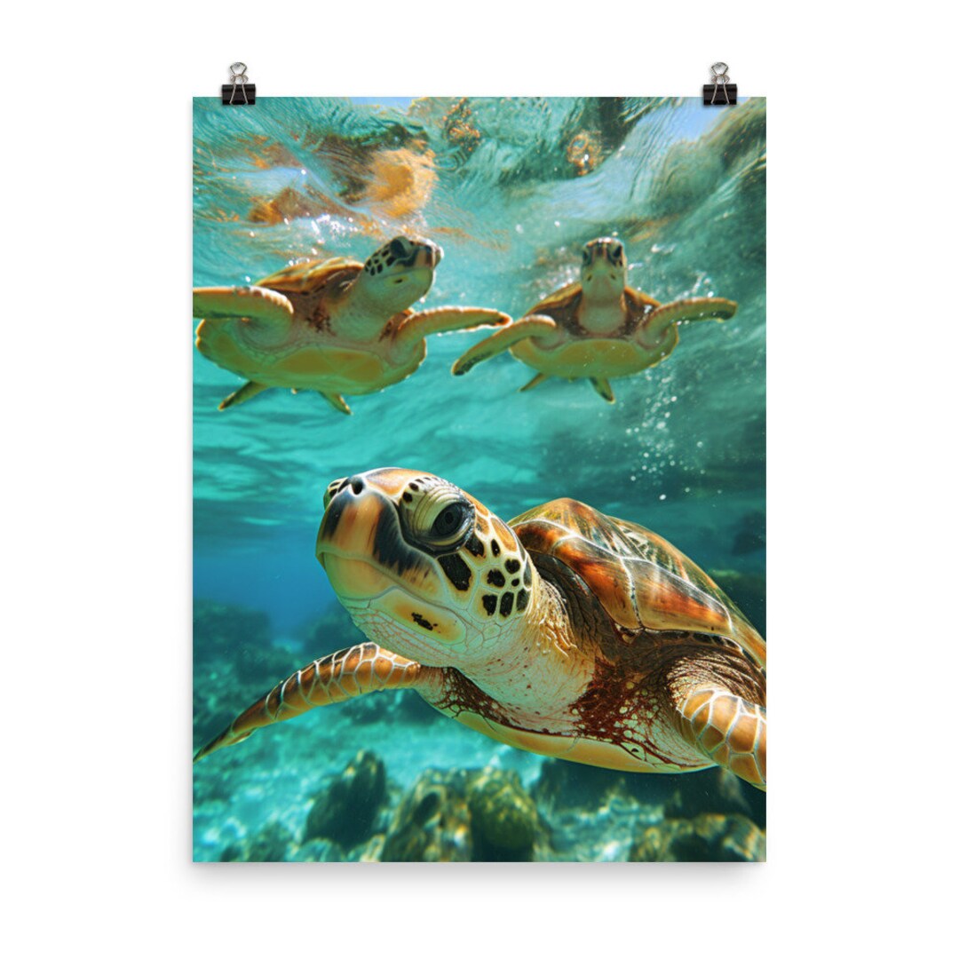 Sea Turtle Poster Print, Underwater Picture Animal Photo Wall Image Art ...