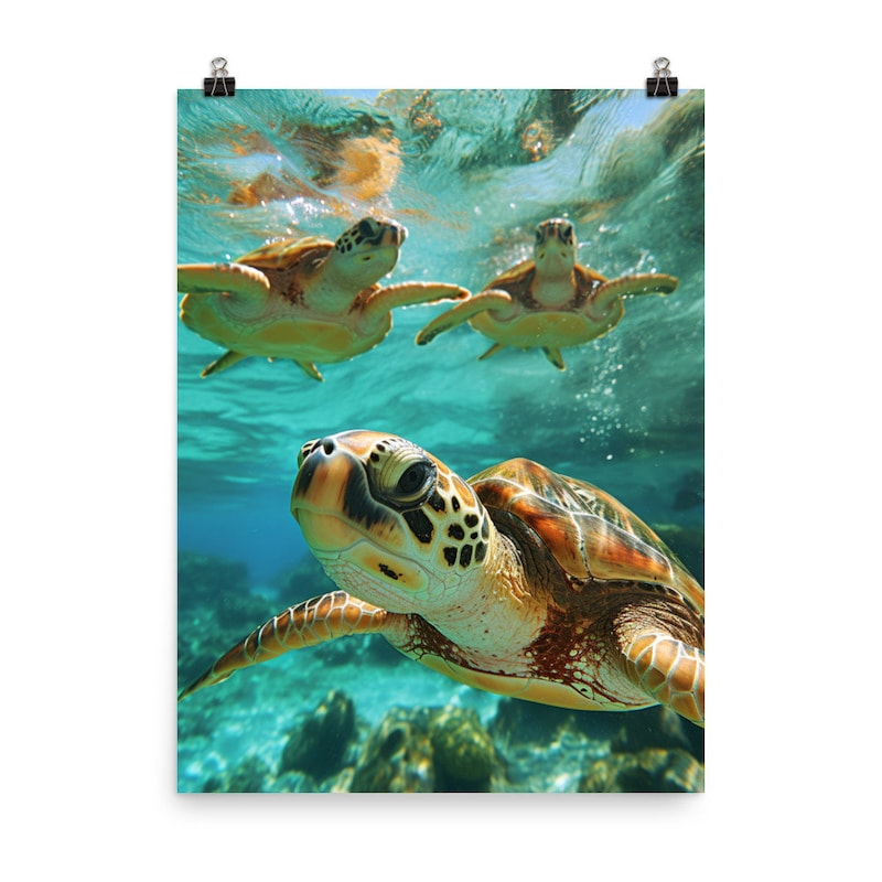 Sea Turtle Poster - Etsy