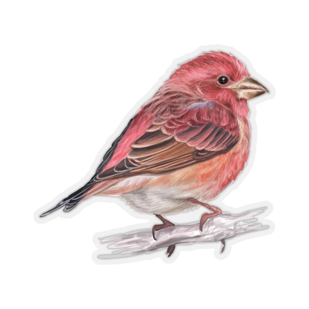 House Finch Bird Sticker, Red Watercolor Animal Cute Wall Decal Label ...