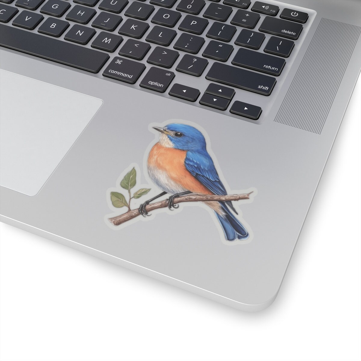 Eastern Bluebird Sticker, Bird Watcher Animal Watercolor Decal Art ...