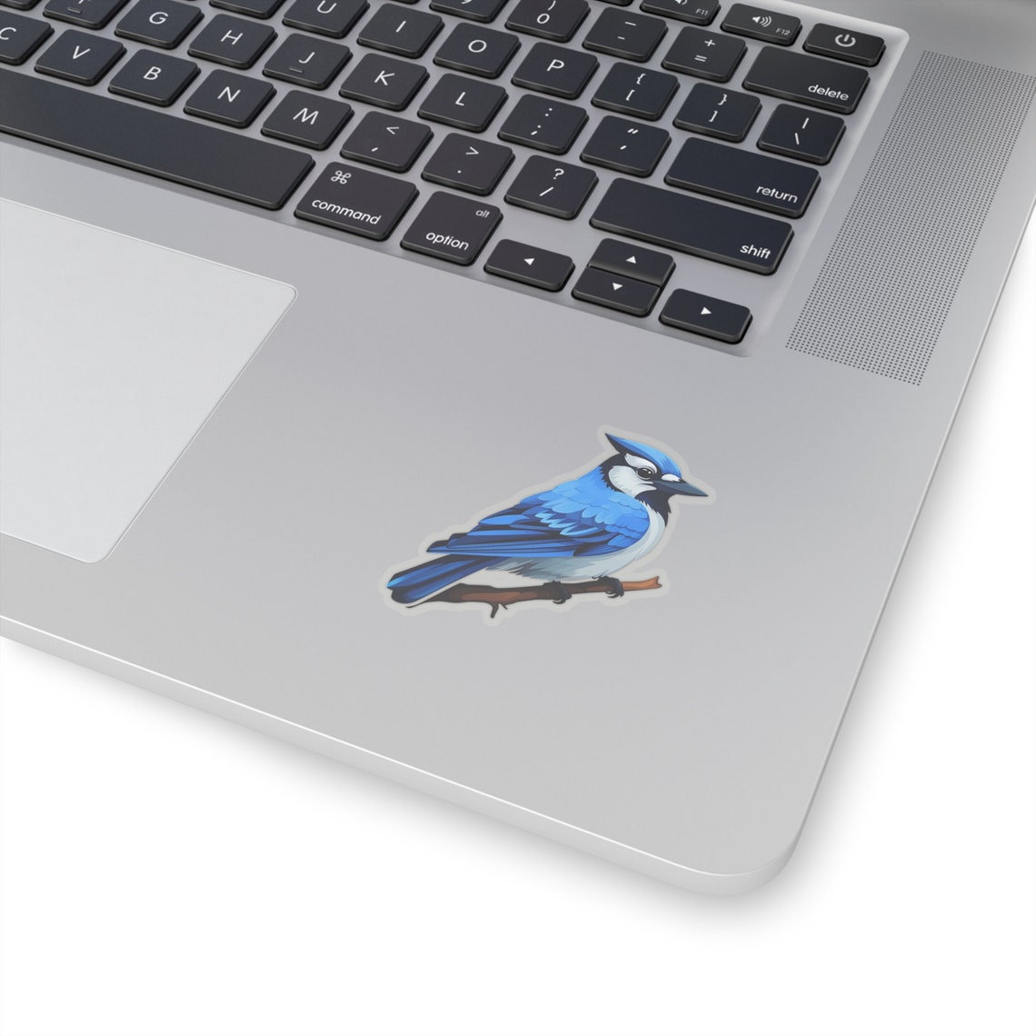 Blue Jay Sticker Decal, Bird Art Vinyl Laptop Cute Waterbottle Tumbler ...
