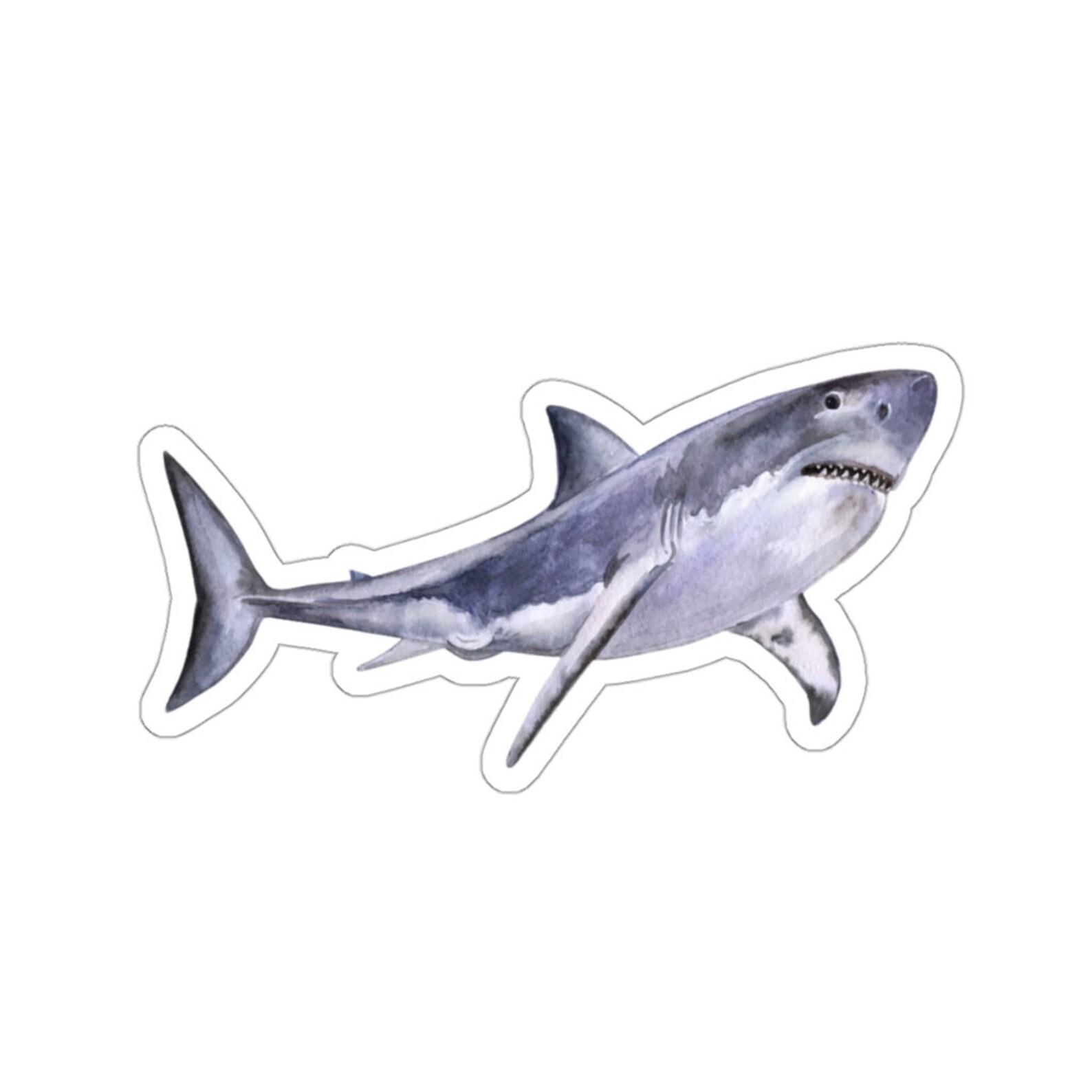 Great White Shark Sticker Vsco Vinyl Decal Bumper Sticker - Etsy
