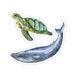 Turtle Whale Sticker Pack, Vsco Vinyl Decal Bumper Sticker Laptop Sign ...