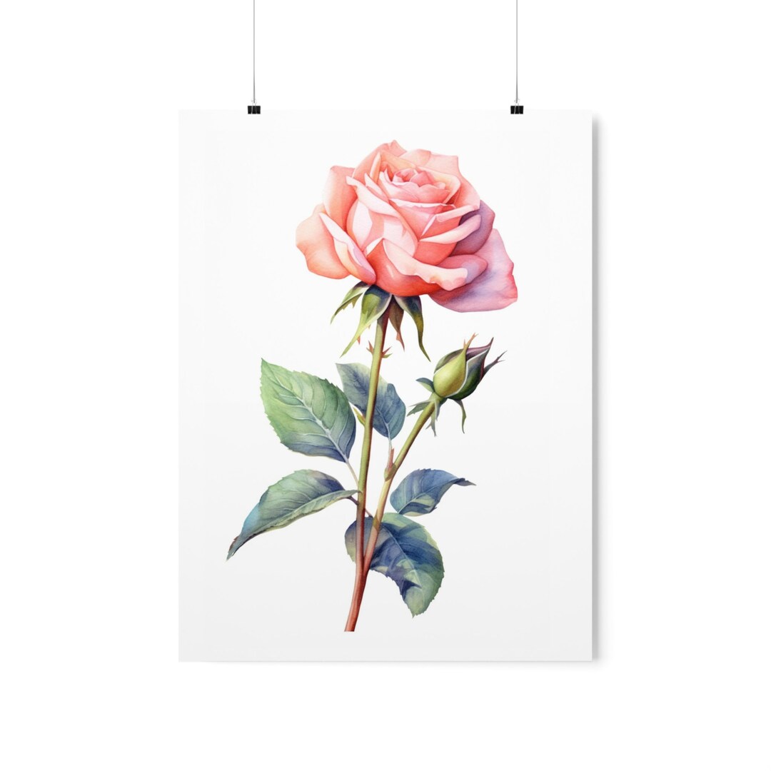 Pink Rose Poster Print, Watercolor Floral Flower Picture Wall Art ...