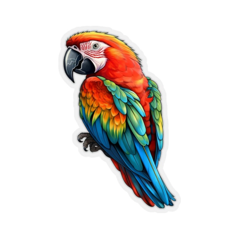 Parrot Decal - Etsy