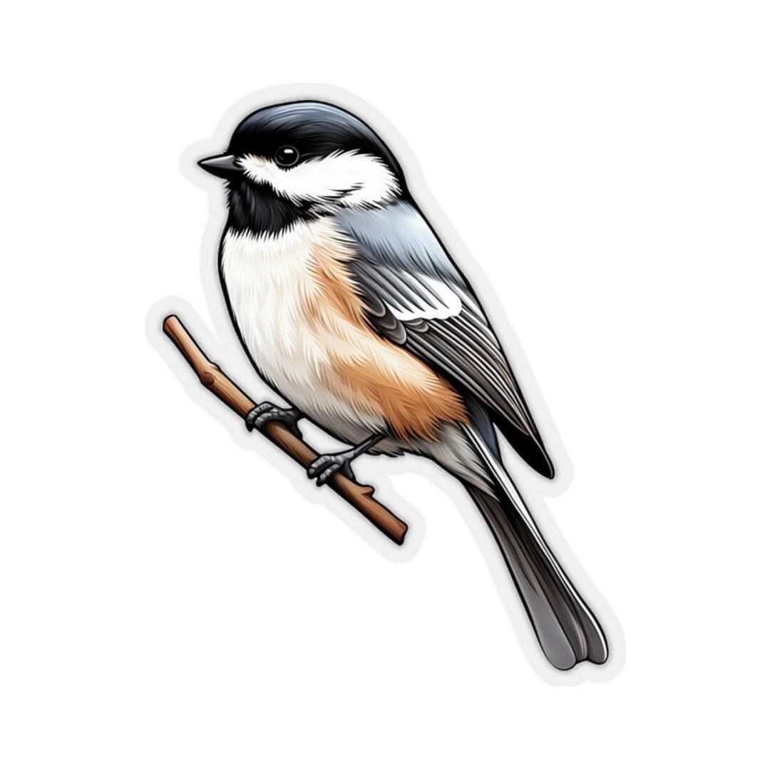 Black-capped Chickadee Sticker Decal, Bird Animal Art Vinyl Laptop Cute ...