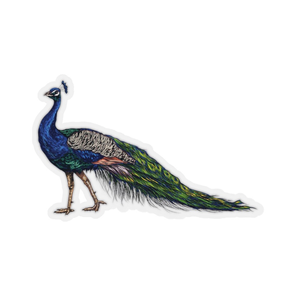 Peacock Sticker Bird Feathers Cute Vinyl Decal Label Phone Etsy
