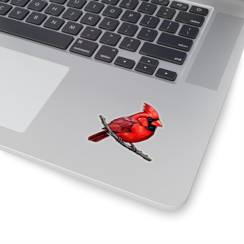 Cardinal Sticker Decal, Red Bird Art Vinyl Laptop Cute Waterbottle ...