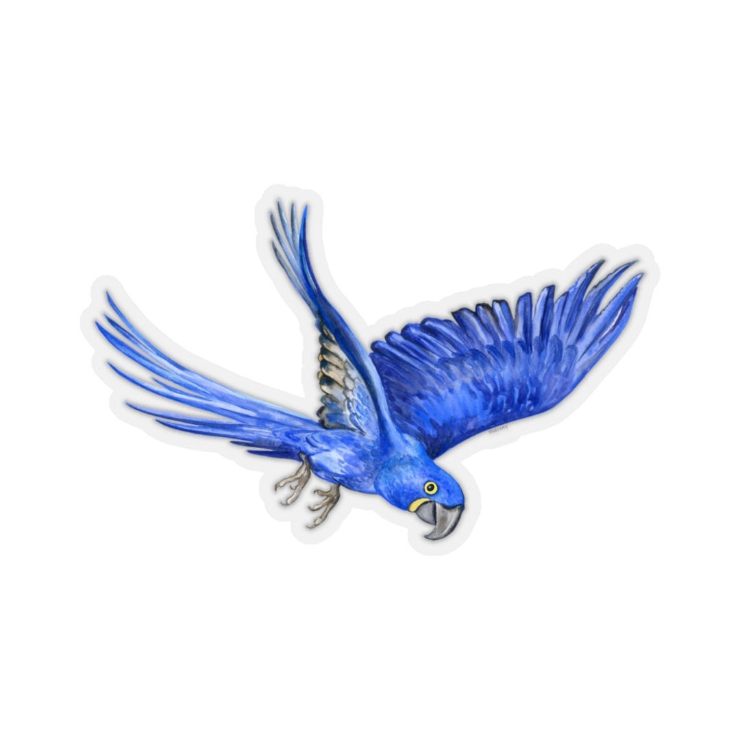 Hyacinth Macaw Parrot Sticker, Blue Tropical Bird Watercolor Laptop ...
