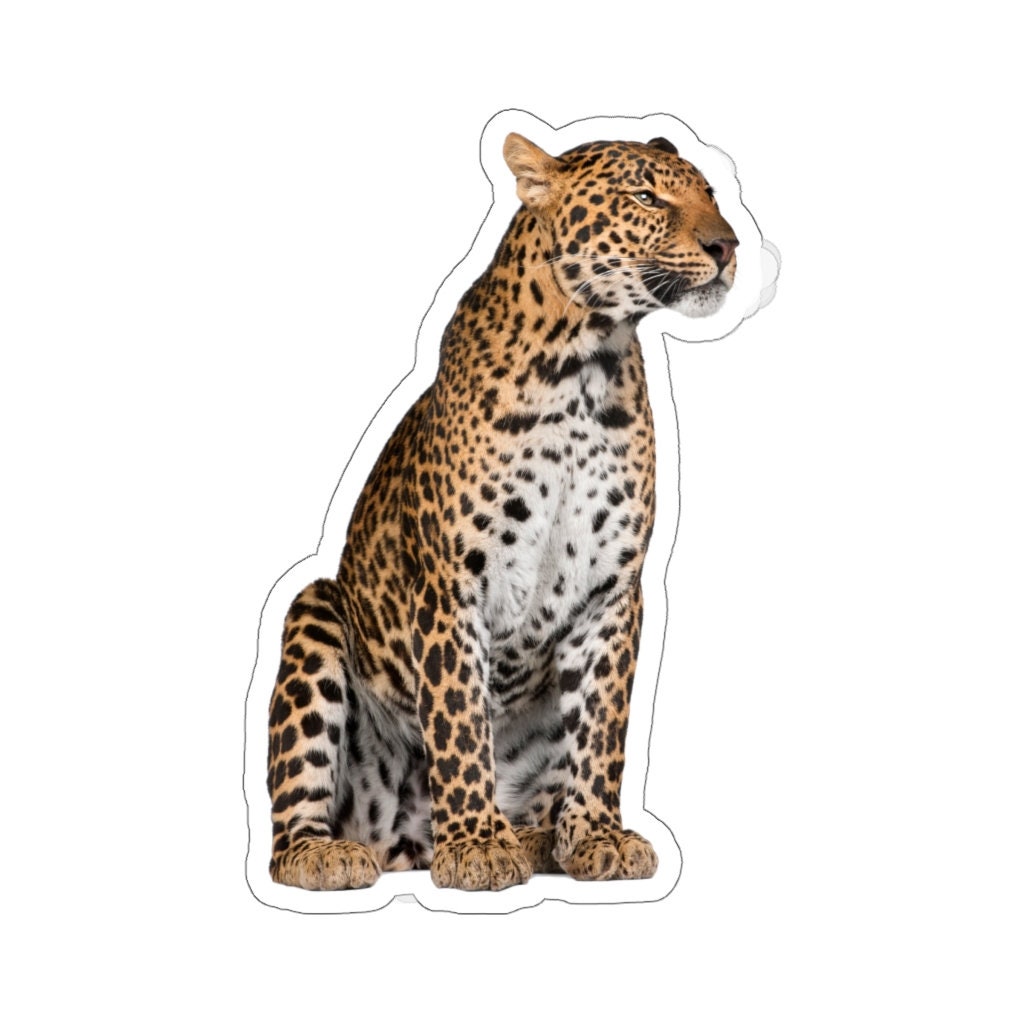 Leopard Sticker Animal Cheetah Laptop Decal Vinyl Cute - Etsy