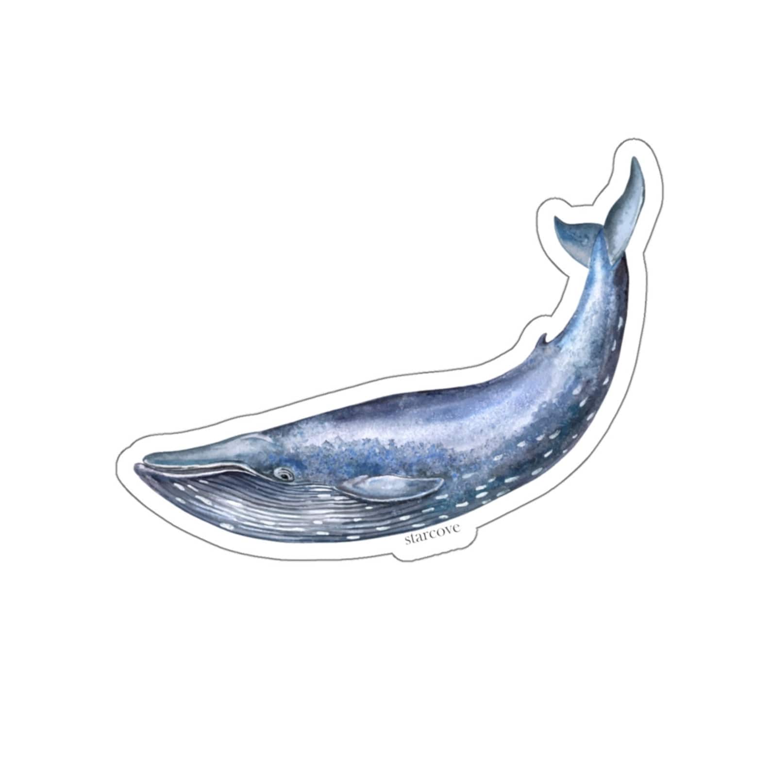 Humpback Whale Sticker Blue Watercolor Vsco Laptop Vinyl Cute - Etsy