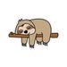 Sleepy Sloth Sticker, Animal Laptop Decal Vinyl Cute Waterbottle ...