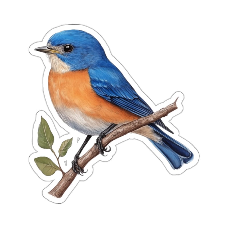 Bluebird Stickers - Etsy