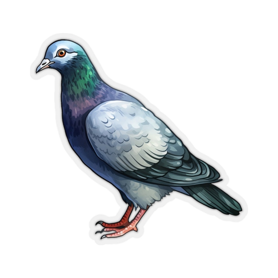 Pigeon Sticker Decal, Watercolor Bird Art Vinyl Laptop Cute Waterbottle ...