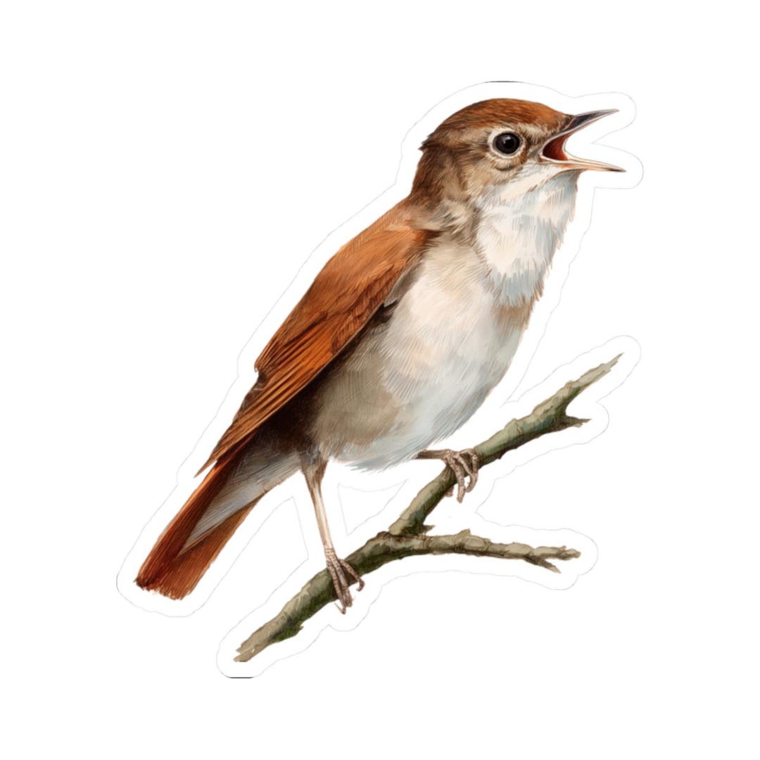 Nightingale Bird Sticker Decal, Watercolor Singing Art Vinyl Laptop ...