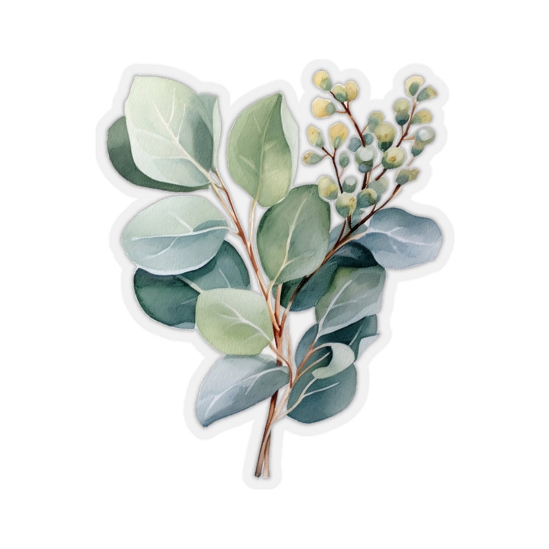 Eucalyptus Sticker, Plant Nature Art Laptop Decal Vinyl Cute ...