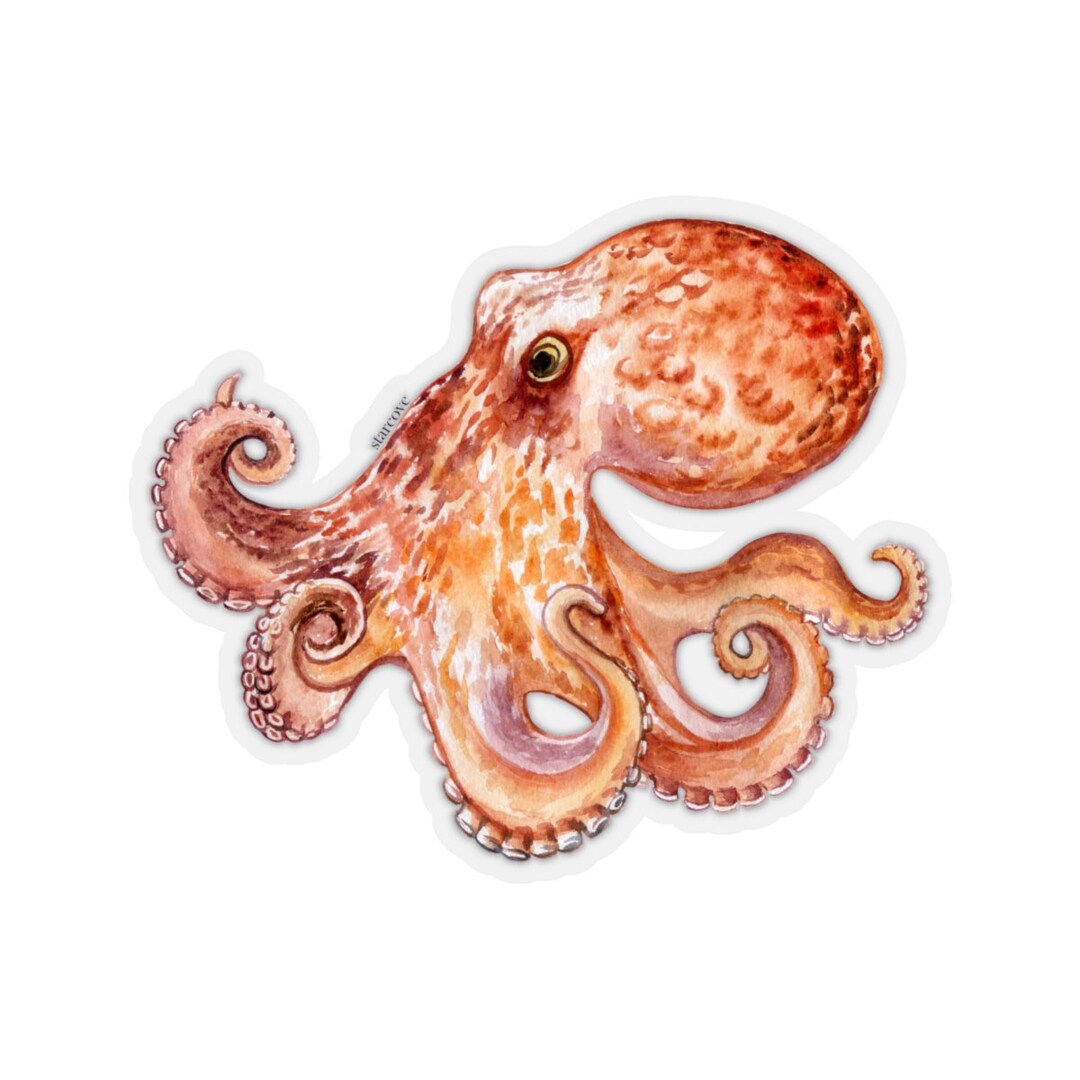 Octopus Stickers Vinyl Decal, Watercolor Realistic Art Car Wall Tumbler ...