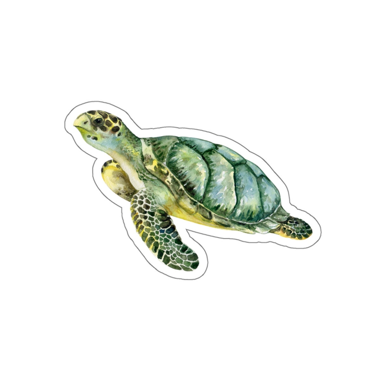 Turtle Sticker, Vsco Vinyl Decal Bumper Sticker, Laptop Sticker Sign ...