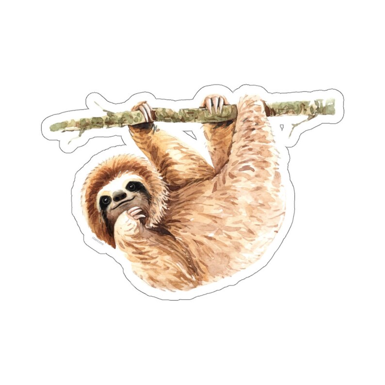 Hanging Sloth Sticker Cute Watercolor Animal Art Laptop Decal - Etsy