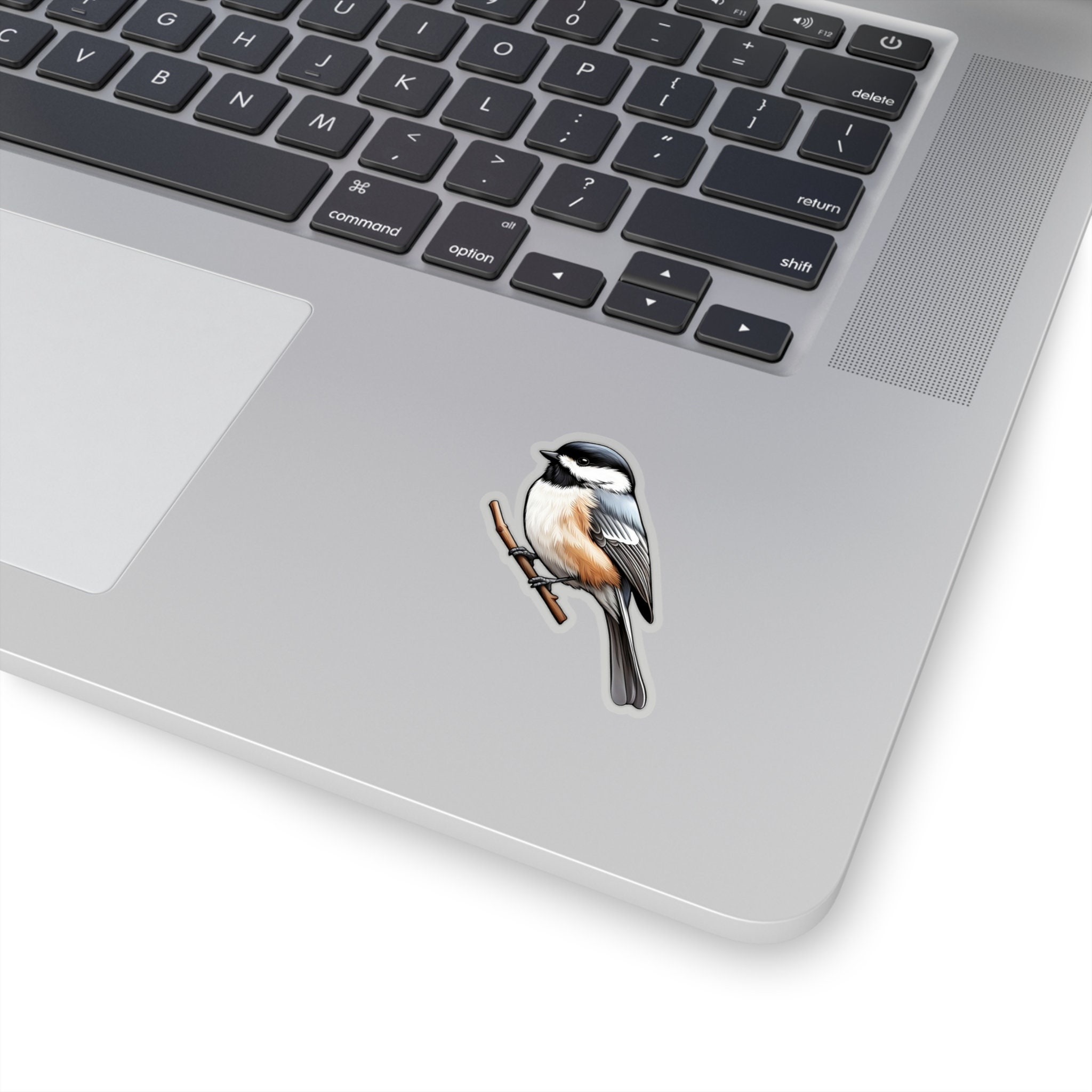 Black-capped Chickadee Sticker Decal, Bird Animal Art Vinyl Laptop Cute ...