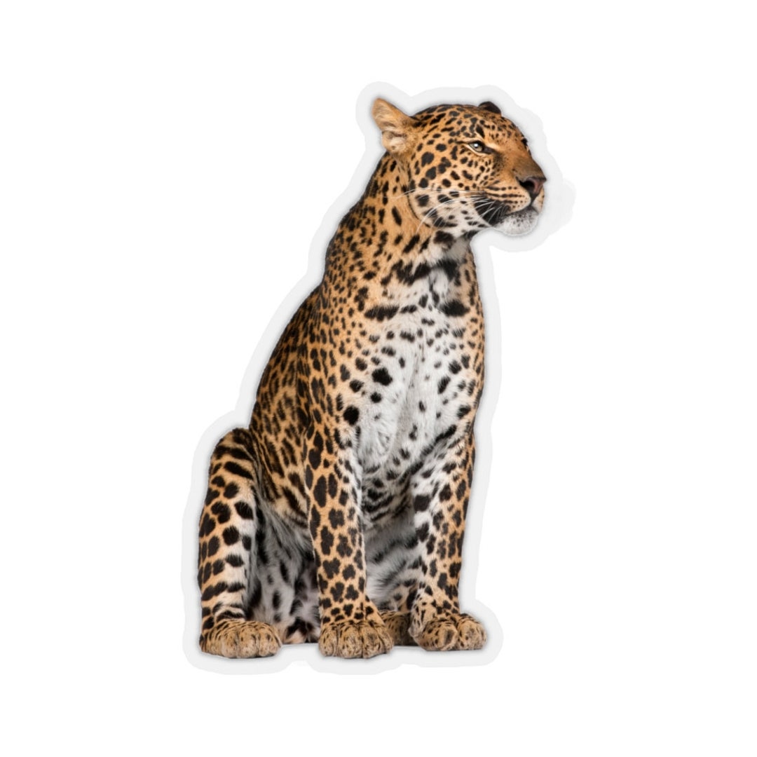 Leopard Sticker, Animal Cheetah Laptop Decal Vinyl Cute Waterbottle ...