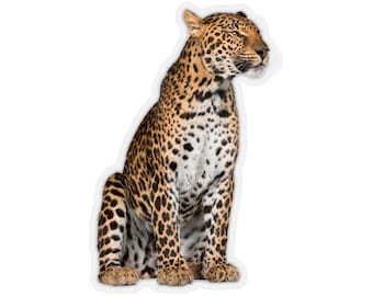 Leopard Decal Wall - Etsy