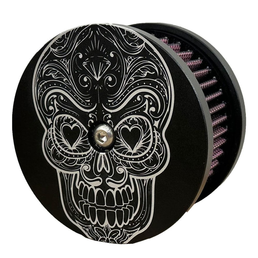 Super Sucker Intake Air Cleaner (etched) Sugar Skull - Etsy