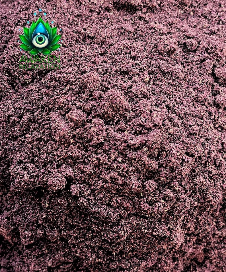 Wild Crafted Bilberry Fruit Powder: Fresh Dried, Albania Import - Free ...