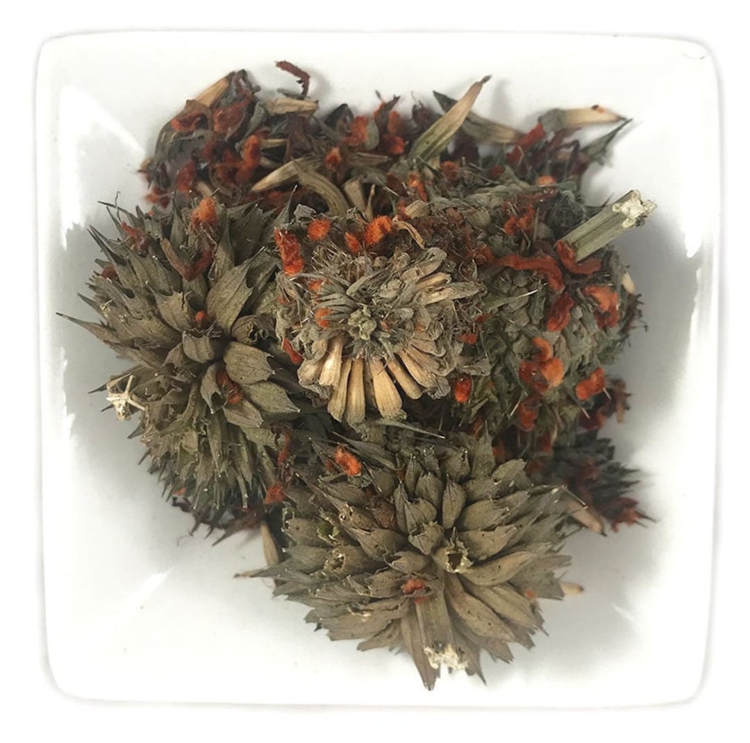 Whole Klip Dagga Flower Tops (leonotis Nepetifolia - Lions Ear ...