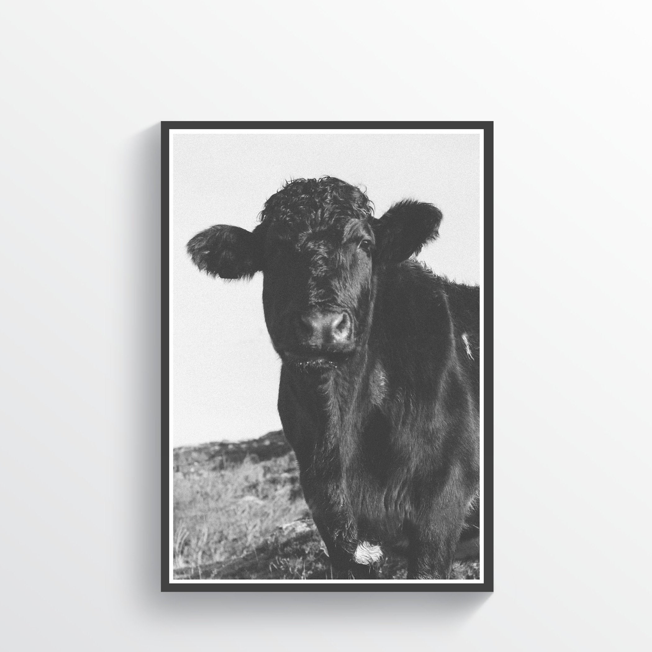 Cow Print, Downloadable Print, Large Poster, Rustic Decor, Farm Animal ...